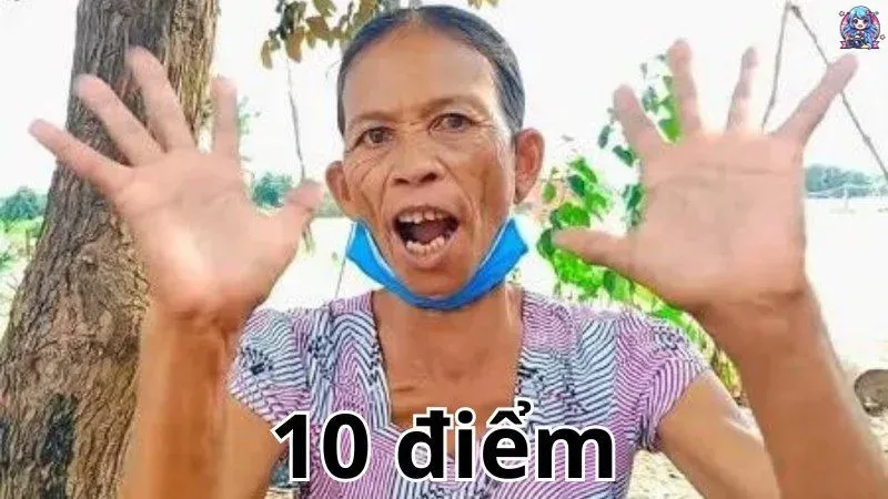 Khám phá bộ sưu tập ảnh 10 điểm meme hài hước và độc đáo nhất